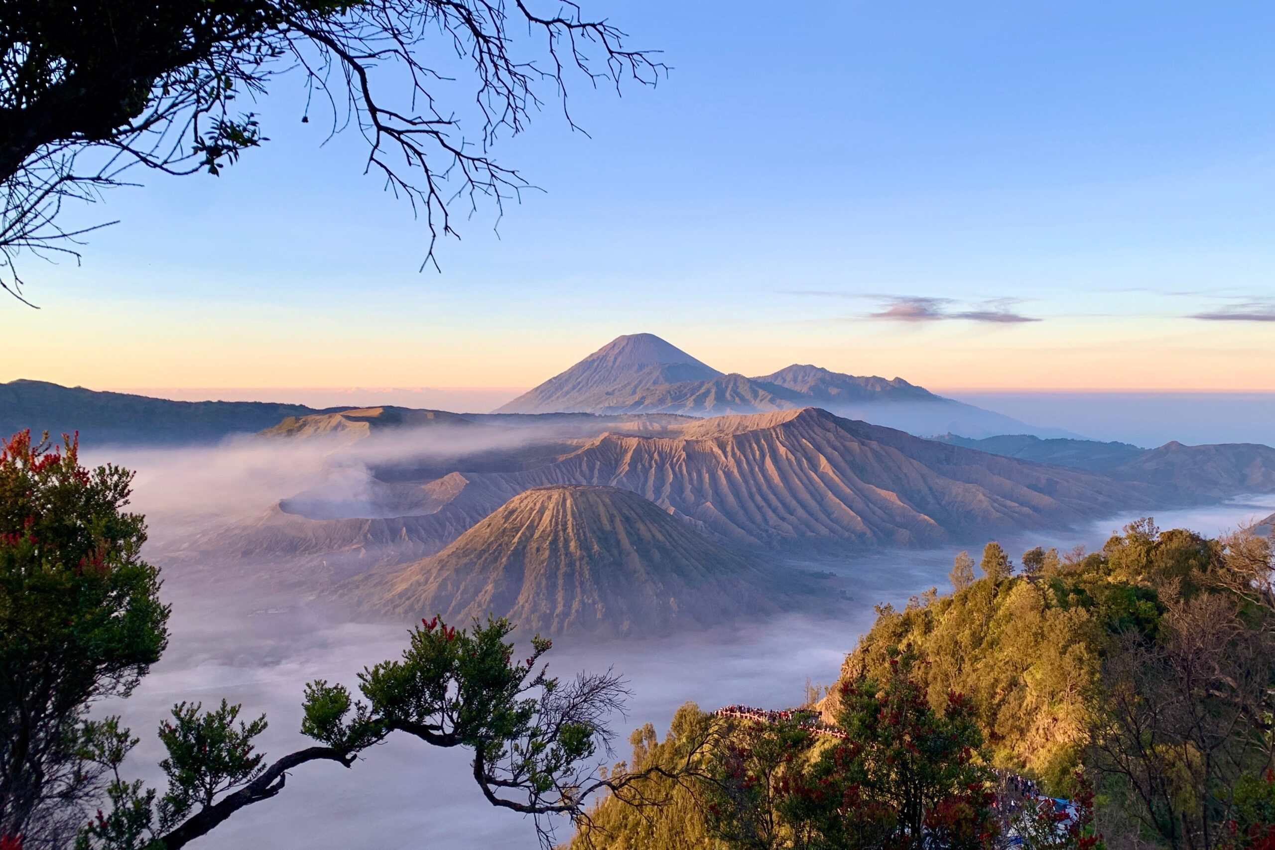 Những điều bạn cần biết trước khi đi Bromo và Ijen - natiure